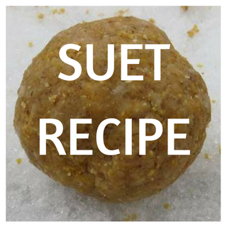 Homemade Suet Recipe - Kansas Native Plants